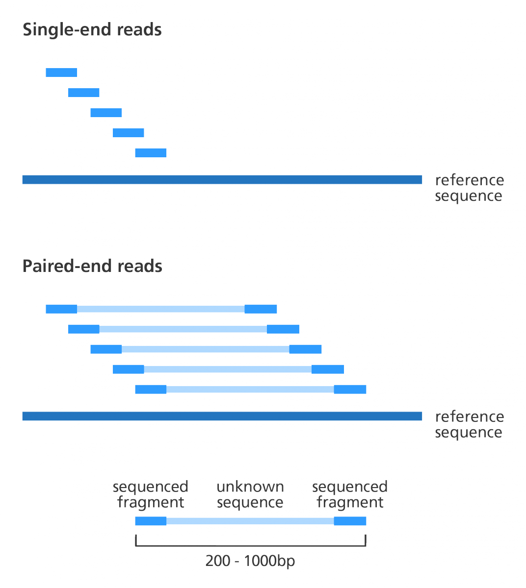 compare dna sequences