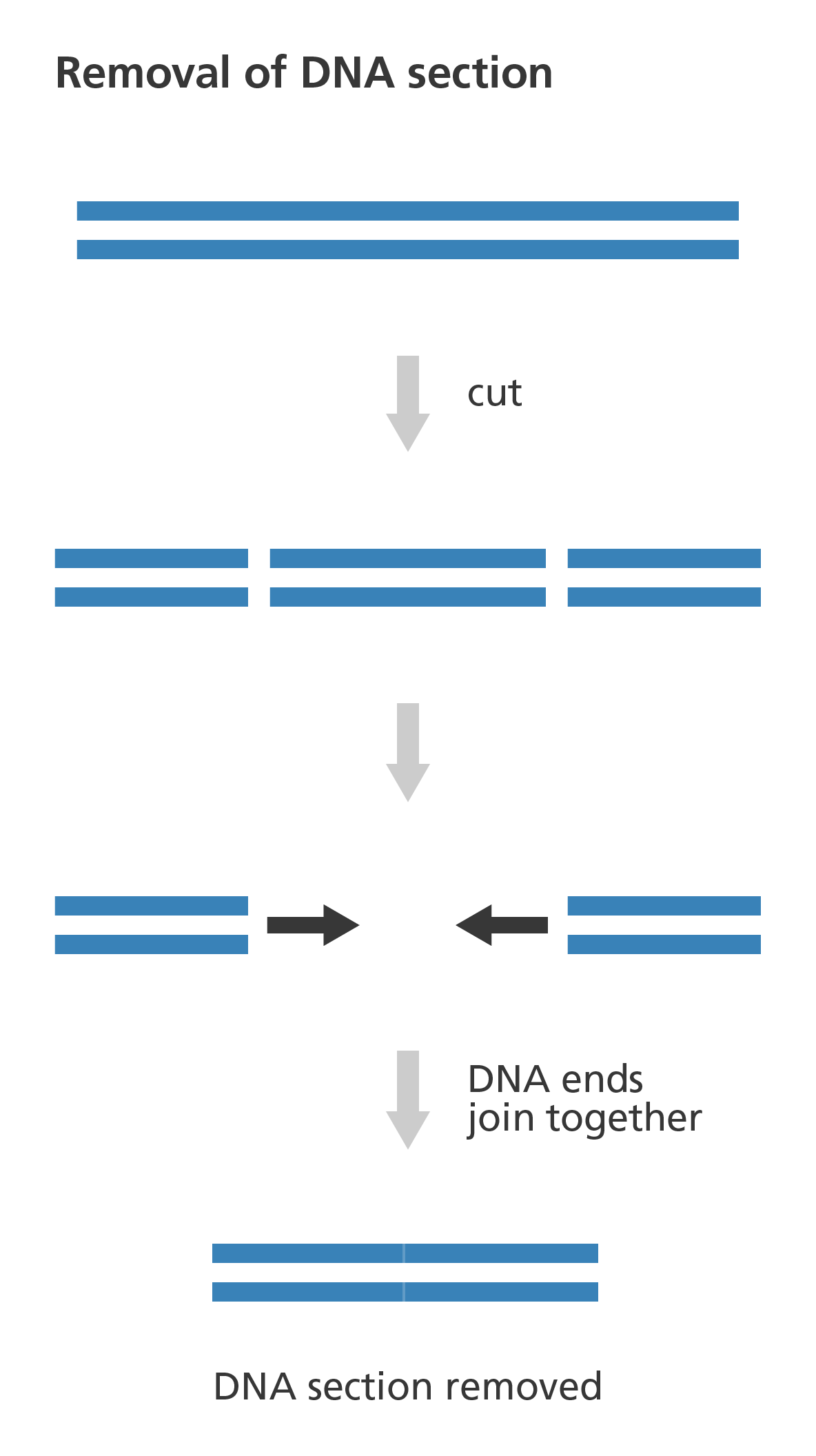 LabXchange